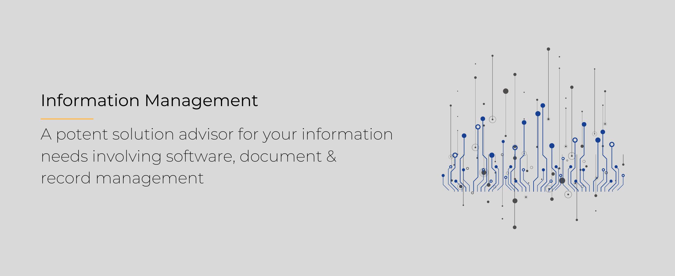 Information Management & Document Management System | CBSL