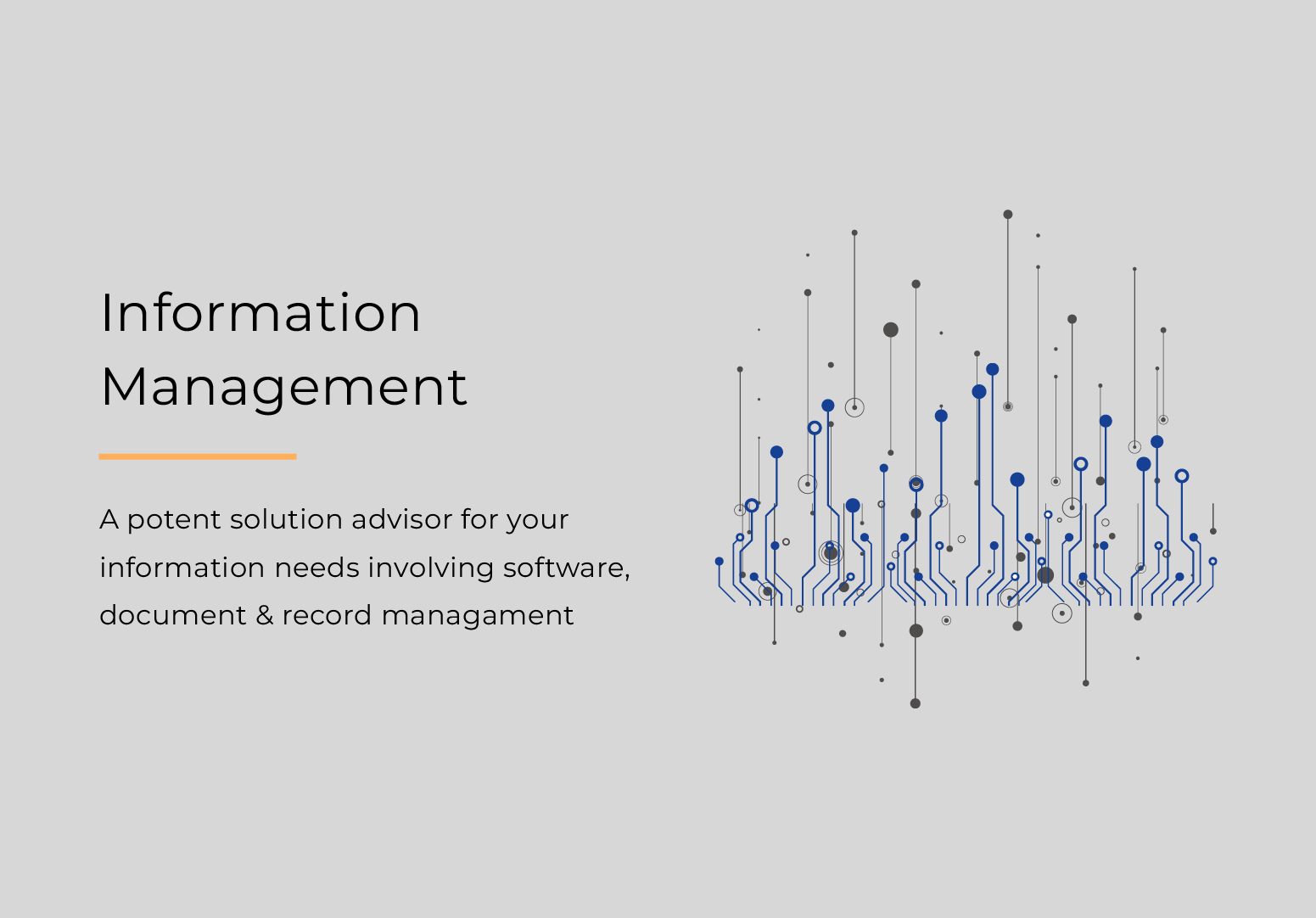 Information Management & Document Management System | CBSL